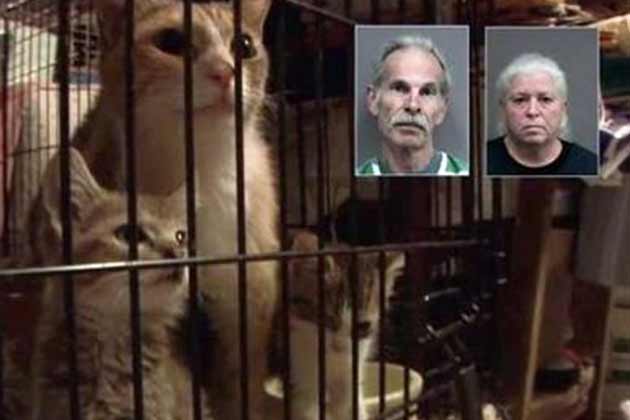 30 Worst Hoarding Cases Ever